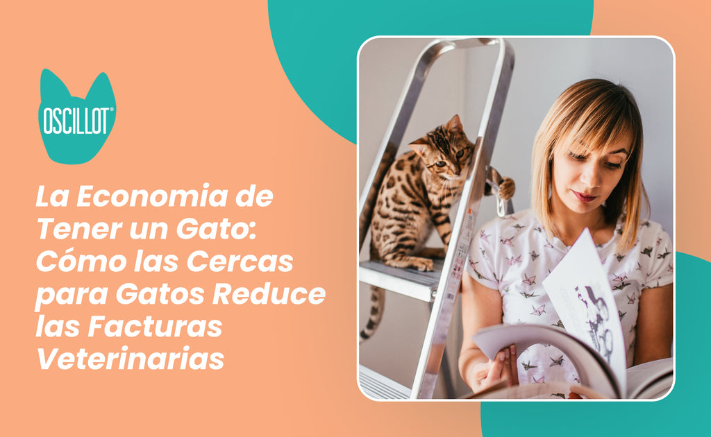La Economía de Tener un Gato: Cómo las Cercas para Gatos Reducen las F ...